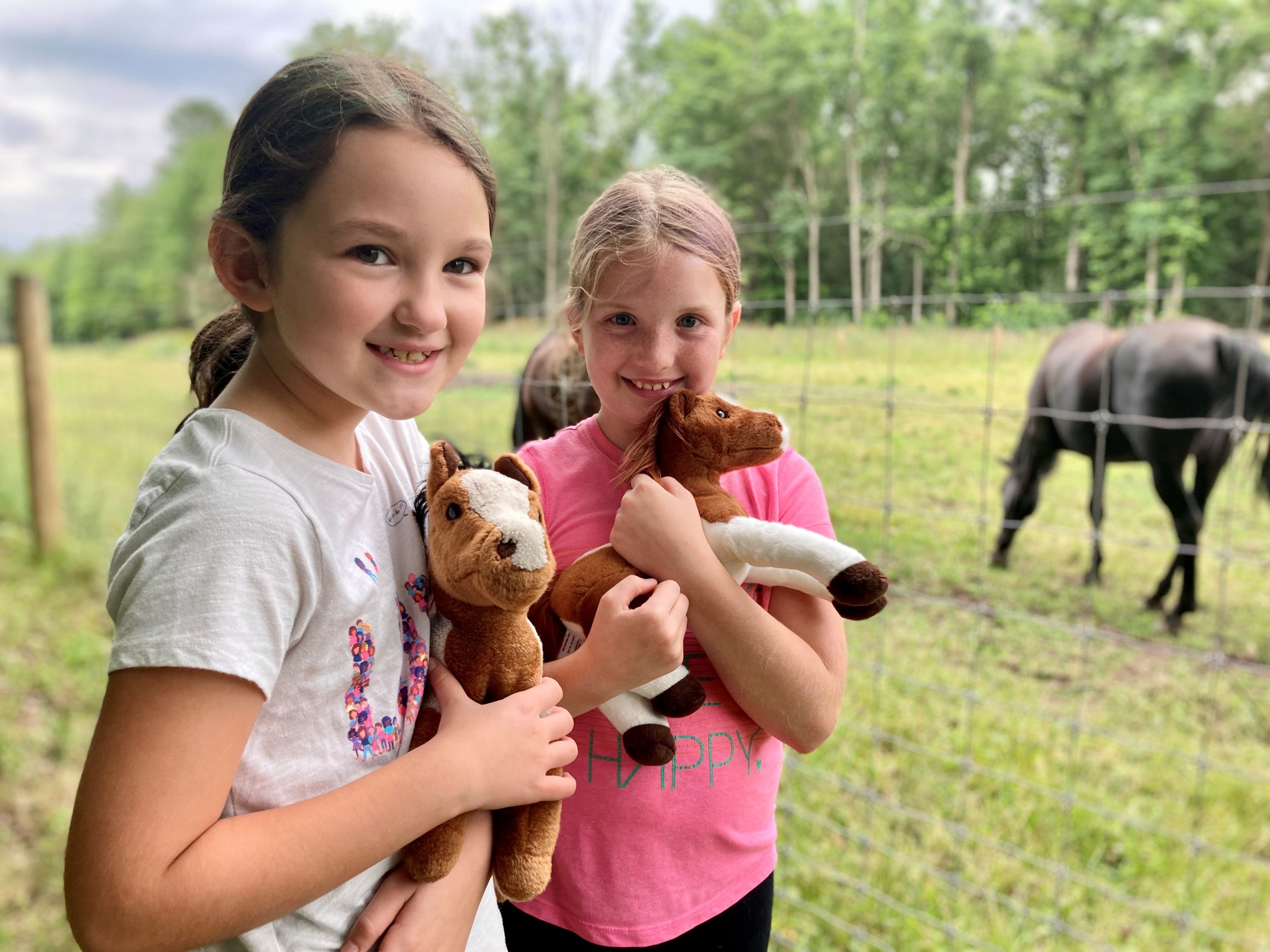 Go For A Walk on New Morgan Horse Farm Trails - MiniBury