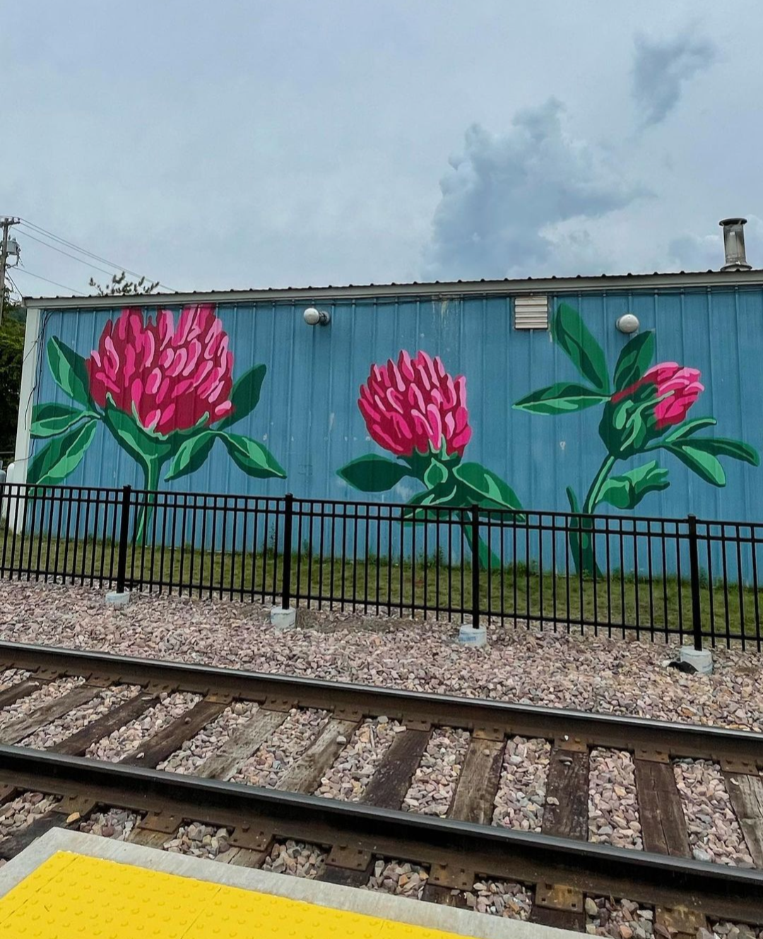 New Murals Are Popping Up In Middlebury - MiniBury
